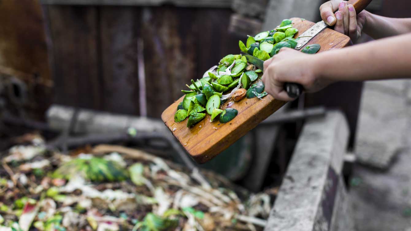 Fighting Food Waste | Elior North America